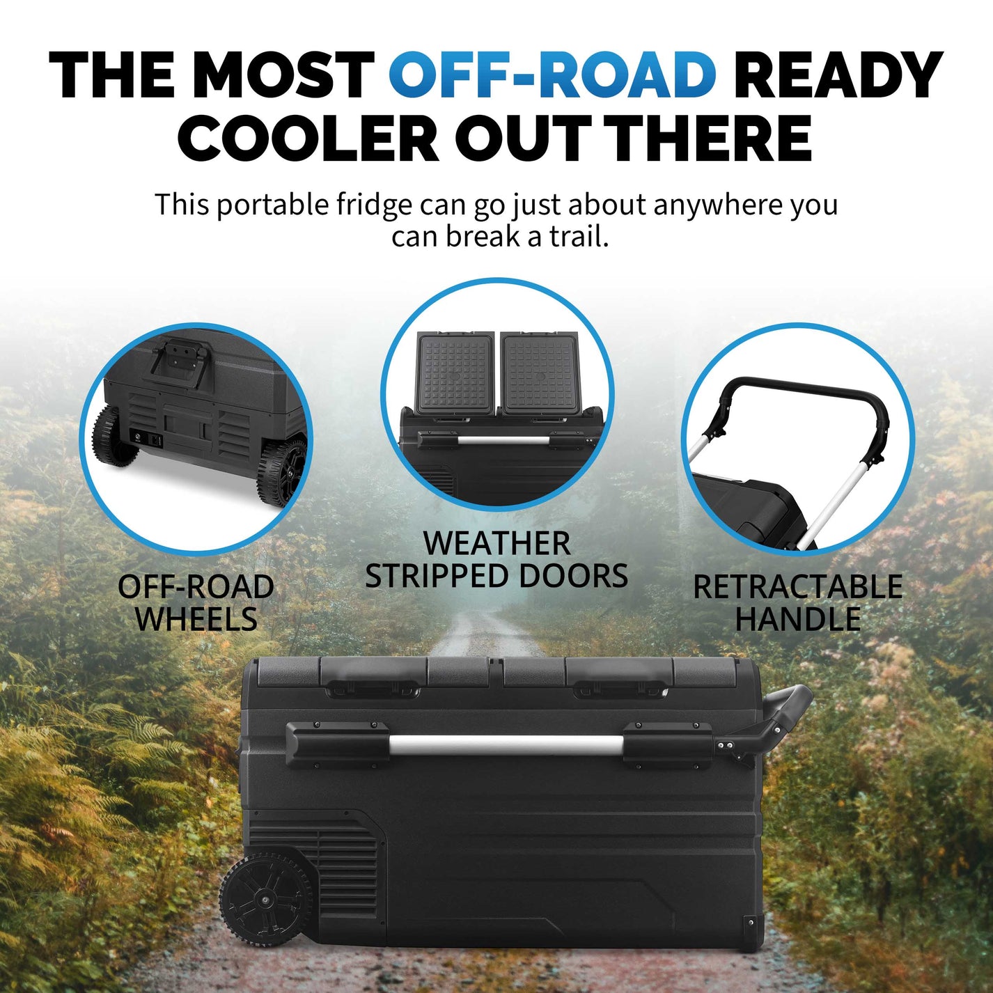 80-Quart Portable Electric Camping Cooler | Newair